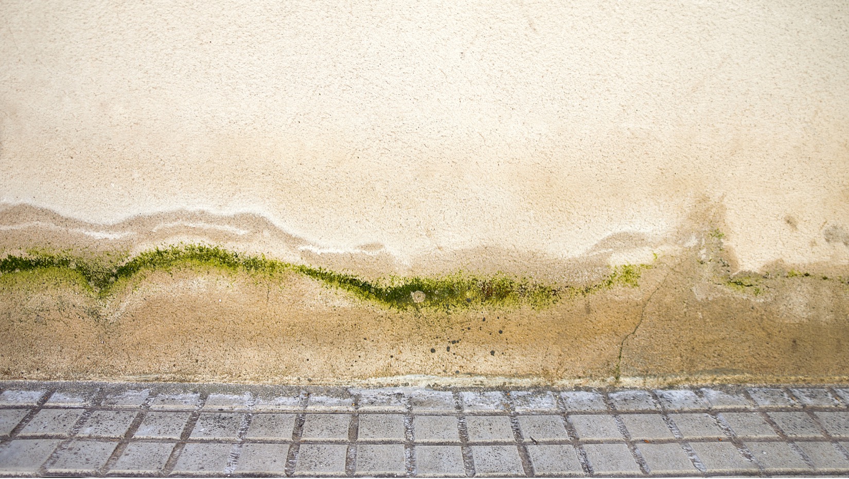 Water Damage Restoration in Kansas City | 5 Signs of Water Damage to ...